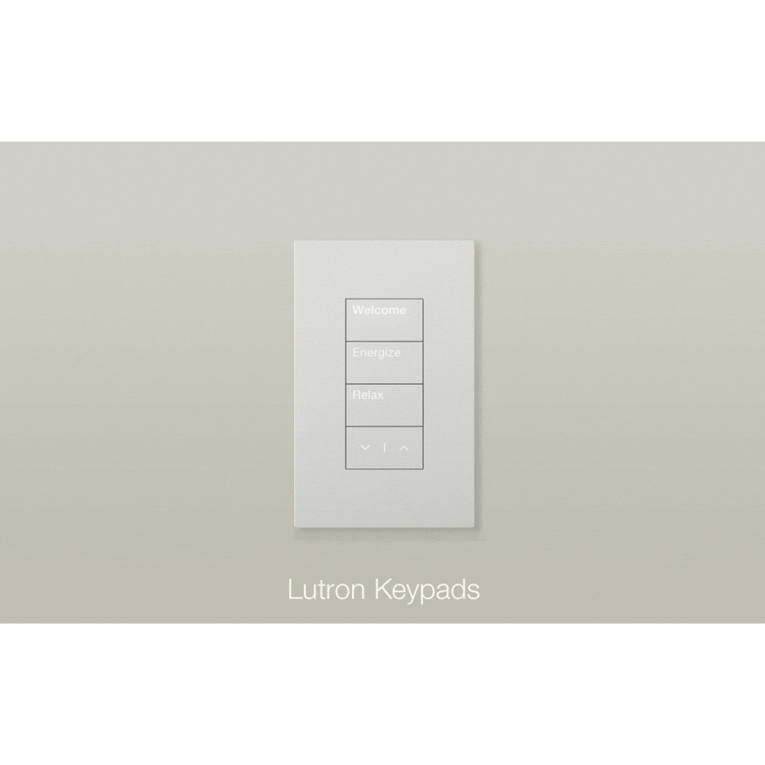 Types of Lutron Lighting Controls: A Comprehensive Guide